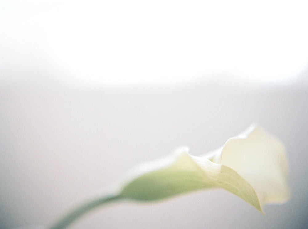 Chroma Collection by Vanessa Gade Jewelery Design - Vanessa Gade ...